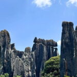Kunming Stone Forest + Kunming City Private Tour - Practical Considerations
