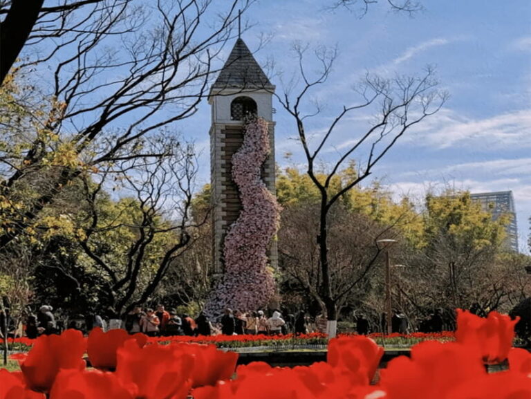 Kunming: Yunnan Military Academy & Kunming Old Town - Practical Details and Tips