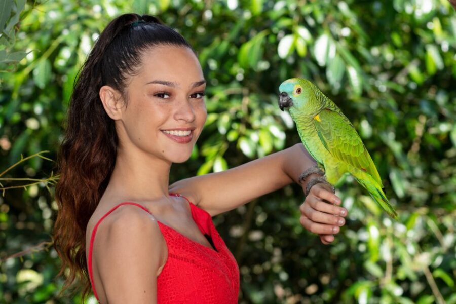 Kuranda: Birdworld Entry Ticket - Why This Experience Matters for Travelers
