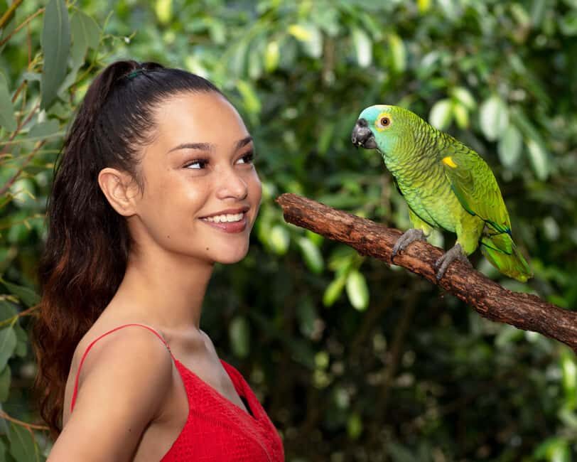 Kuranda by Design, a VIP package experience - An In-Depth Look at the Experience
