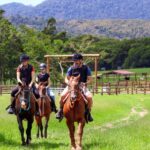 Kuranda Half Day with Petting Zoo & Horse Trail Ride Tour - An In-Depth Look at the Itinerary