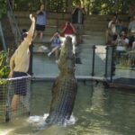 Kuranda & Hartley's Crocodile Adventures - Pricing and Value Analysis