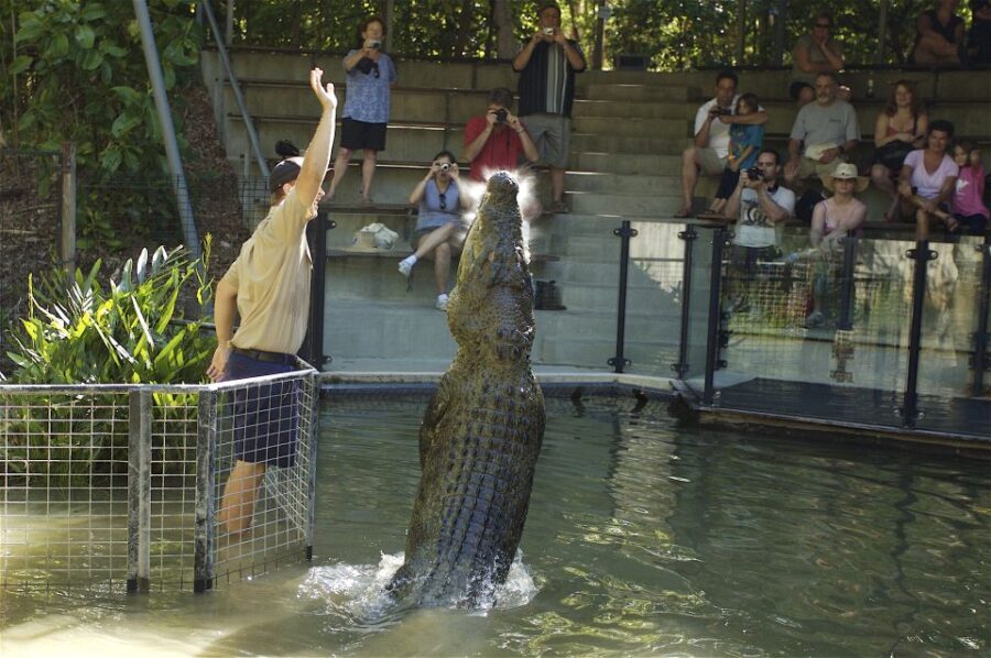 Kuranda & Hartley's Crocodile Adventures - Pricing and Value Analysis