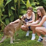 Kuranda Koala Gardens Park Entry - Who Should Visit Kuranda Koala Gardens?