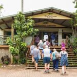 Kuranda Scenic Railway Day Trip from Cairns - What the Reviews Say