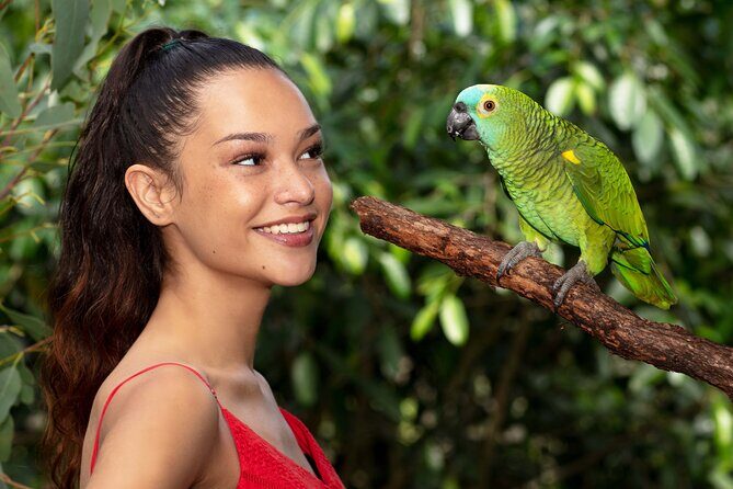 Kuranda Wildlife Experience Deluxe Multi Attraction Pass - Practical Details and Traveler Tips