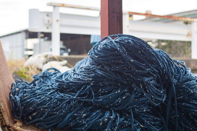 Kurume Kasuri's Workshop Tour in Hirokawa-Machi - Authenticity and Cultural Significance