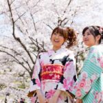 Kyoto: 1 Day:Traditional Japanese Kimono Rental Experience - Whats Included and Whats Not