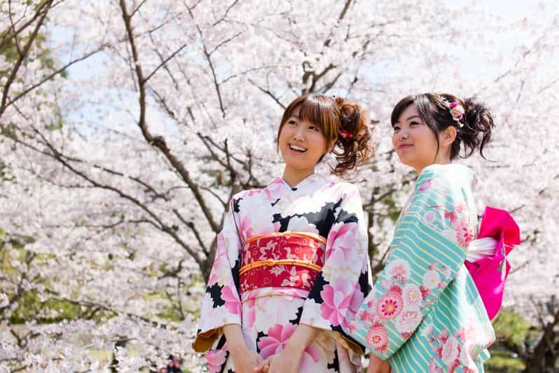 Kyoto: 1 Day:Traditional Japanese Kimono Rental Experience - Whats Included and Whats Not