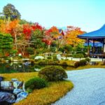 Kyoto: 2-Hour Guided Tour of Arashiyama's Autumn Leaves - The Itinerary Breakdown