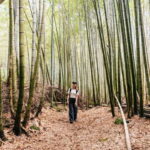 Kyoto: 3-Hour Fushimi Inari Shrine Hidden Hiking Tour - Why This Tour Is So Highly Rated