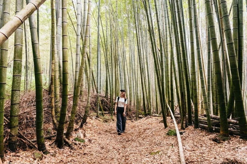 Kyoto: 3-Hour Fushimi Inari Shrine Hidden Hiking Tour - Why This Tour Is So Highly Rated