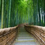 Kyoto and Miyama Full Day Tour from Osaka - Practical Aspects of the Tour