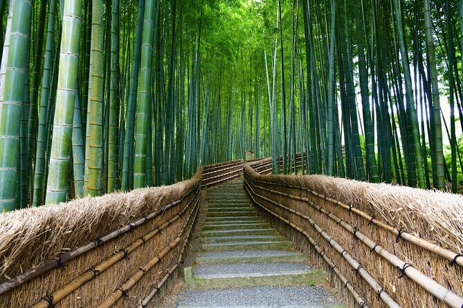 Kyoto and Miyama Full Day Tour from Osaka - Practical Aspects of the Tour