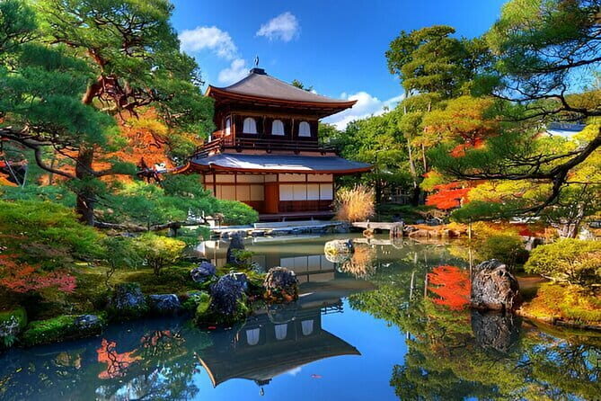 Kyoto and Nara Private Trip - The Sum Up