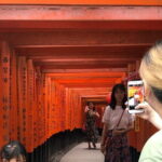 KYOTO and NARA TOUR with FREE ENTRANCE FEE(DRIVER ONLY) - Who Will Love This Tour?