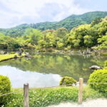 Kyoto: Arashiyama Bamboo Forest and Garden Views Tour - What We Think About the Price and Overall Value