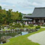 Kyoto: Arashiyama Bamboo Forest and Nijo Castle Private Tour - The Experience: What Travelers Can Expect