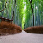 Kyoto Arashiyama: Fall Foliage Walking TourAutumn's limited - Practical Considerations and Value Analysis