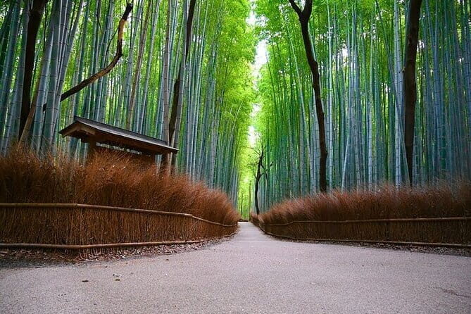Kyoto Arashiyama: Fall Foliage Walking TourAutumn's limited - Practical Considerations and Value Analysis
