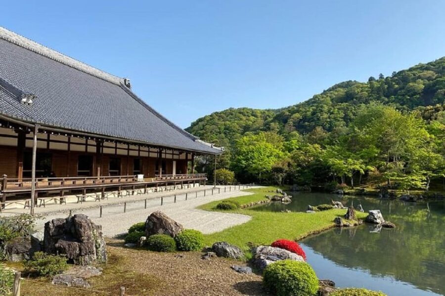 Kyoto: Arashiyama Guided Tour, Bamboo, Monkey, Zen Temple - Who Will Love This Tour?