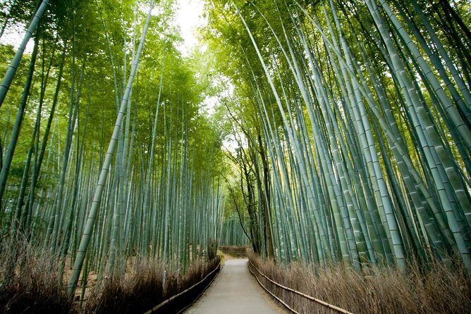 Kyoto Arashiyama & Sagano Bamboo Private Tour with Government-Licensed Guide - Who Would Enjoy This Tour Most?