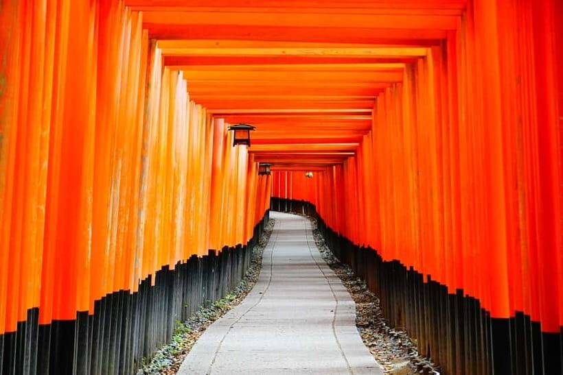 Kyoto: City Highlights Private Walking Tour - The Itinerary: An In-Depth Look