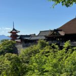 Kyoto Custom Private Car Tour with Local Guide - What to Expect From This Kyoto Private Car Tour