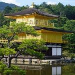 Kyoto Day Trip using Private Car with English Driver (up to 5) - Who Will Love This Tour?