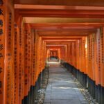 Kyoto: Early Morning Fushimi Inari Shrine - Beat the Crowds - The Itinerary in Detail