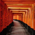 Kyoto: Early Morning Tour with English-Speaking Guide - Why This Tour Offers Great Value