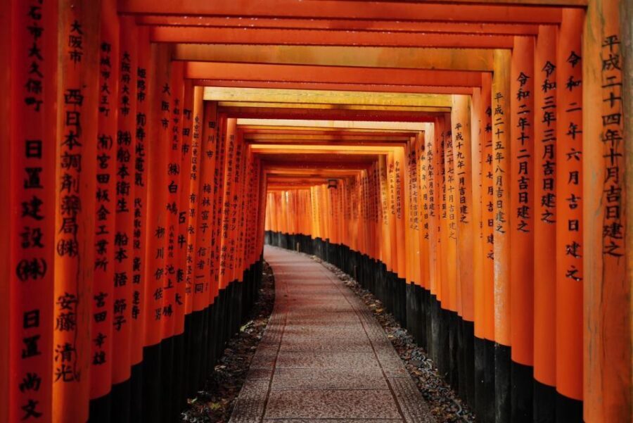 Kyoto: Early Morning Tour with English-Speaking Guide - Why This Tour Offers Great Value