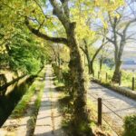 Kyoto: Full-Day Private Guided Tour of Temples and Shrines - Practical Details and What It Means for You