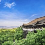 Kyoto: Fully-Customized One-day Private Tour - What’s Included and What to Expect