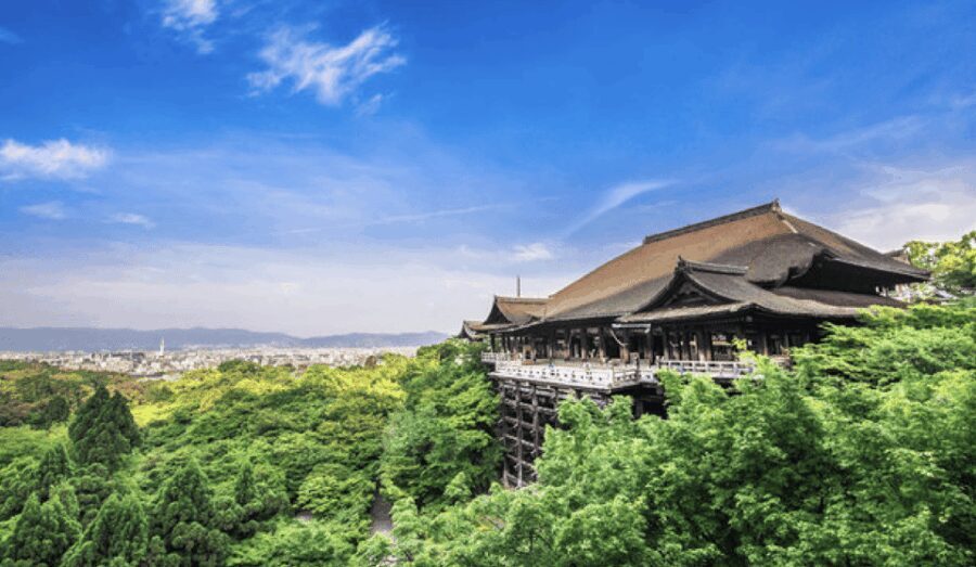 Kyoto: Fully-Customized One-day Private Tour - What’s Included and What to Expect