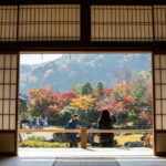 Kyoto: Fushimi, Arashiyama - Bamboo, Monkey, Torii & Secrets - What Makes This Tour Stand Out?