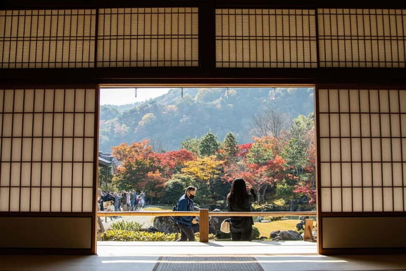 Kyoto: Fushimi, Arashiyama - Bamboo, Monkey, Torii & Secrets - What Makes This Tour Stand Out?