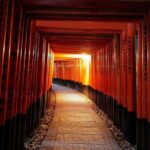 Kyoto Fushimi Inari Night Walking Tour - Practical Details