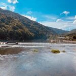 Kyoto: Highlights of Arashiyama in 2 hours - Guided tour - What Makes This Tour Stand Out