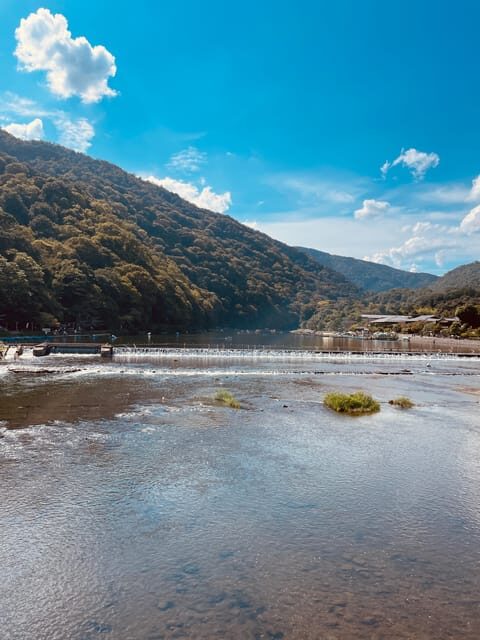Kyoto: Highlights of Arashiyama in 2 hours - Guided tour - What Makes This Tour Stand Out