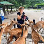 Kyoto: Historical Nara & Kyoto Bus Tour - In-Depth Breakdown of the Itinerary