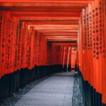 Kyoto Japan with Private Tour - Kinkaku-ji Temple: The Golden Pavilion