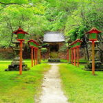 Kyoto: Mount Hiei Guided Tour  Mother of Japanese Buddhism - The Experience and How It’s Delivered