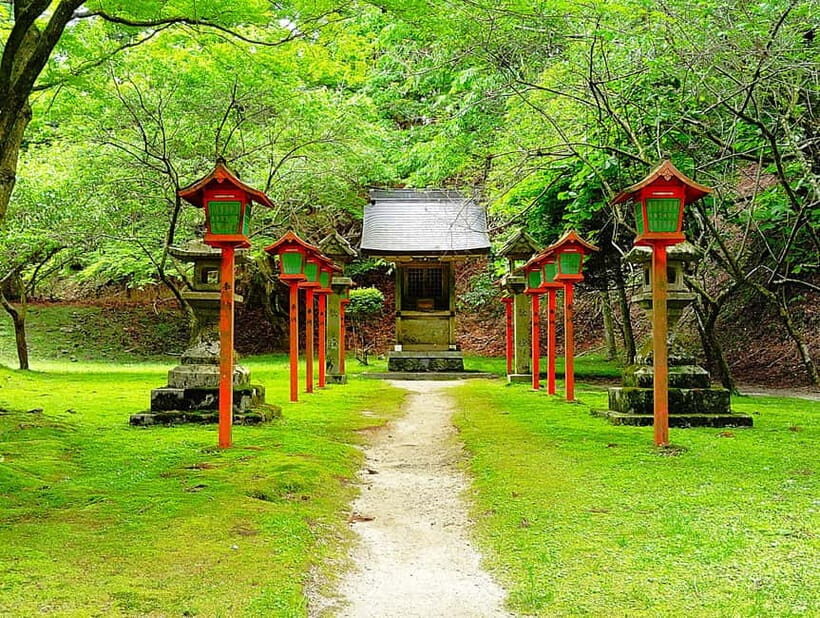Kyoto: Mount Hiei Guided Tour  Mother of Japanese Buddhism - The Experience and How It’s Delivered