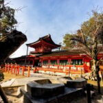 Kyoto: Nara, Todaiji, Kasuga Taisha Shrine Private Full Day - A Detailed Look at the Itinerary
