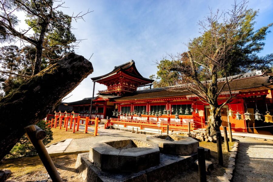 Kyoto: Nara, Todaiji, Kasuga Taisha Shrine Private Full Day - A Detailed Look at the Itinerary