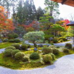 Kyoto: Ohara Village Private Tour with Hotel Pickup - Practical Details and What to Expect