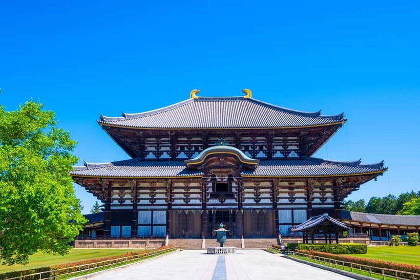 Kyoto/Osaka: Kinkakuji, Bamboo Forest, and Nara Deer Park - Overview of the Tour Experience