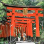 Kyoto/Osaka: Kyoto and Nara Customizable Guided Day Trip - Breaking Down the Itinerary