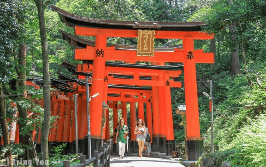 Kyoto/Osaka: Kyoto and Nara Customizable Guided Day Trip - Breaking Down the Itinerary